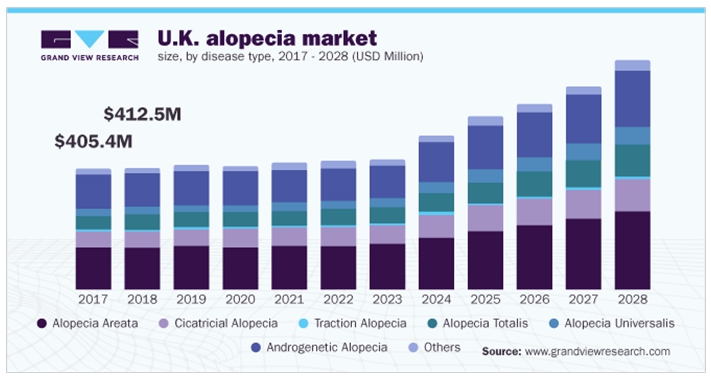 이미지: Alopecia market(출처_grand view research)